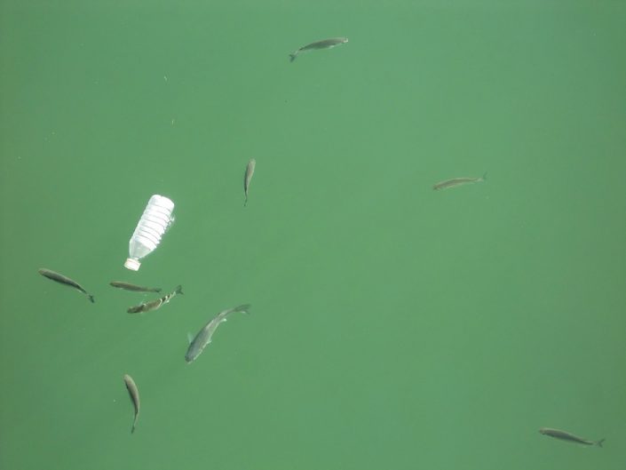 What Really Happens To Plastic When It Enters Our Waters The