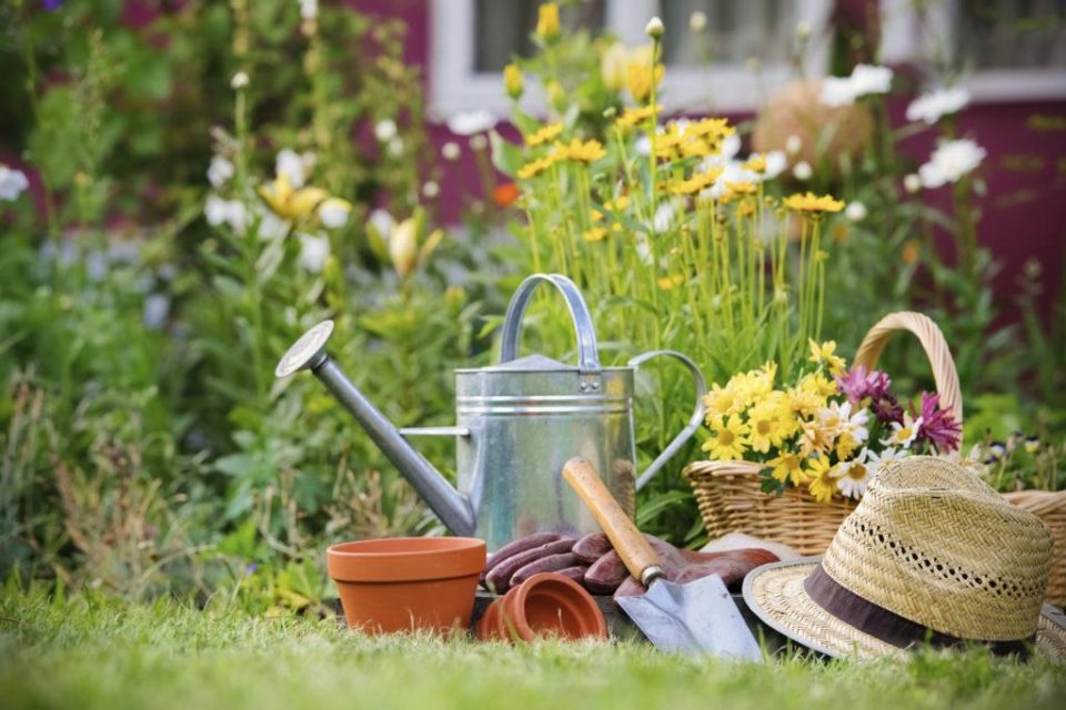 Eco-Friendly Gardening Tips to Create an Eco Garden - The Environmental ...