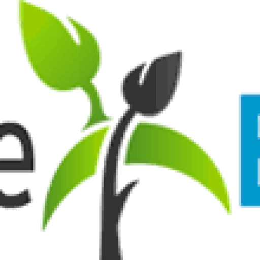 5 Ways to Clean and Decontaminate Soil - The Environmental Blog