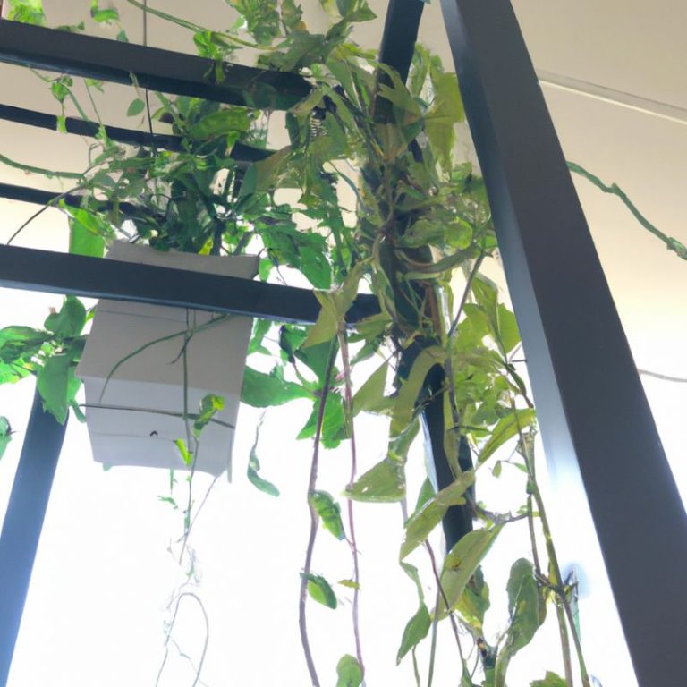 Indoor Plant Trellises Beginner's Guide - The Environmental Blog