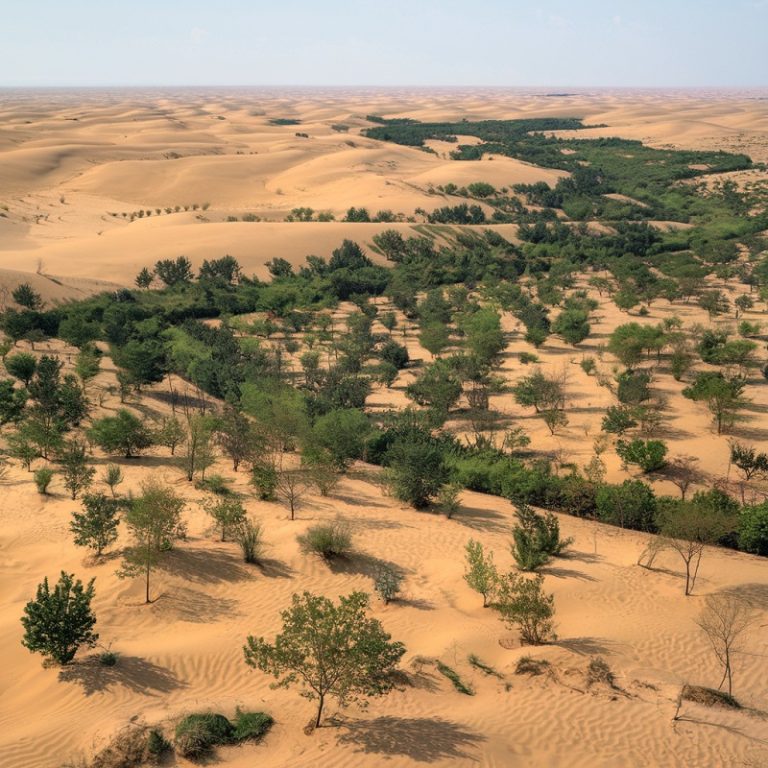 Can cloud seeding make the UAE's desert green? - The Environmental Blog