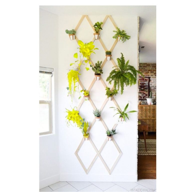 Indoor Plant Trellises Beginner's Guide - The Environmental Blog