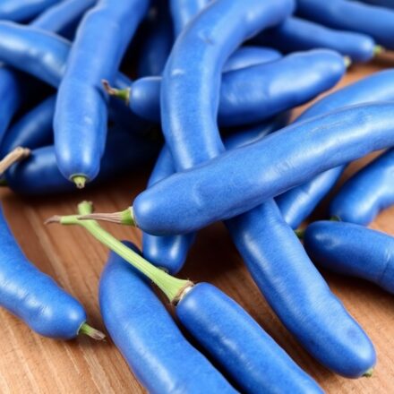 List of 12 Blue Vegetables - The Environmental Blog