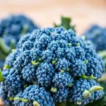 List of 12 Blue Vegetables - The Environmental Blog