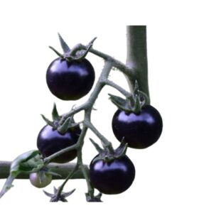 List of 12 Blue Vegetables - The Environmental Blog