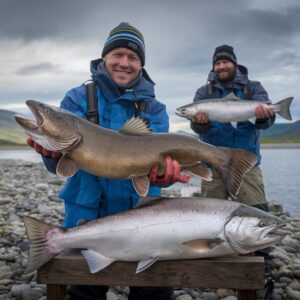 Arctic Char vs Salmon: A Fishy Comparison - The Environmental Blog