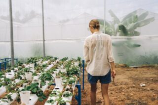 Microplastics and Their Hidden Impact on Agricultural Productivity ...