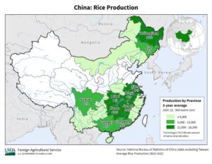 Rice: Balancing Food Security And Environmental Challenges - The Environmental Blog