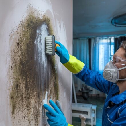 Does Bleach Kill Mold? What You Need to Know Before You Clean - The ...