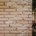 Efflorescence: What It Is, Causes, and How to Remove It - The ...
