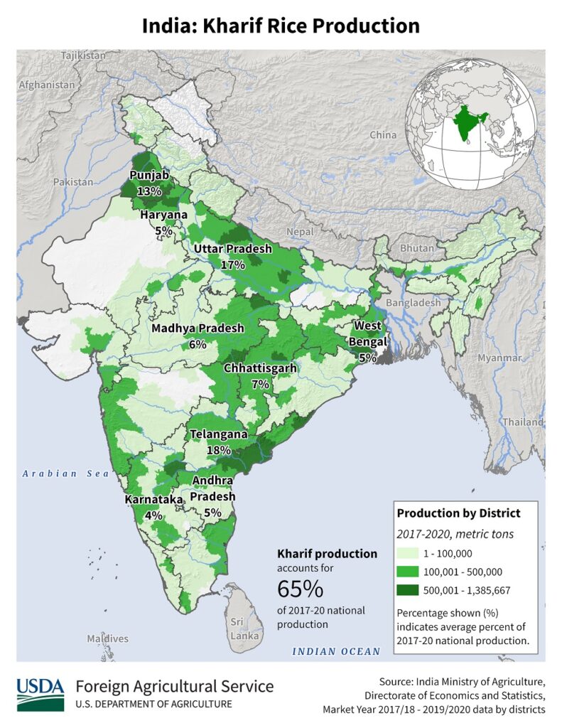 Rice: Balancing Food Security And Environmental Challenges - The Environmental Blog