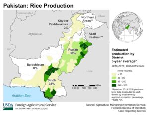 Rice: Balancing Food Security And Environmental Challenges - The Environmental Blog