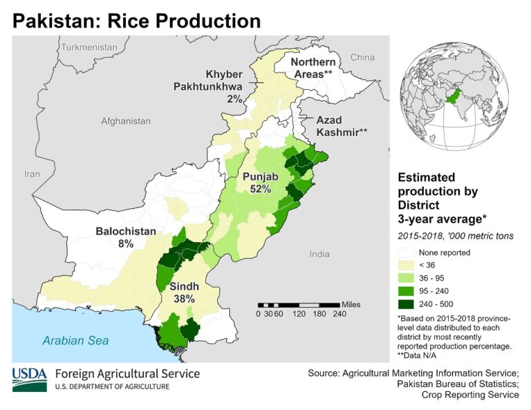Rice: Balancing Food Security And Environmental Challenges - The ...