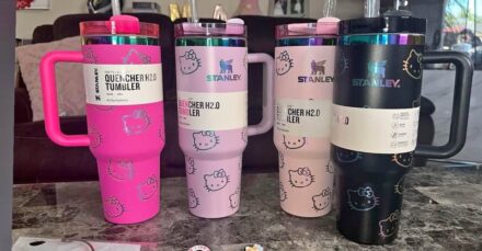 The Hello Kitty Stanley Craze: Everyone’s Favorite Must-Have - The ...
