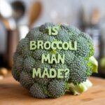 Is Broccoli Man-Made? The Truth Behind Its Human-Created Origins - The ...