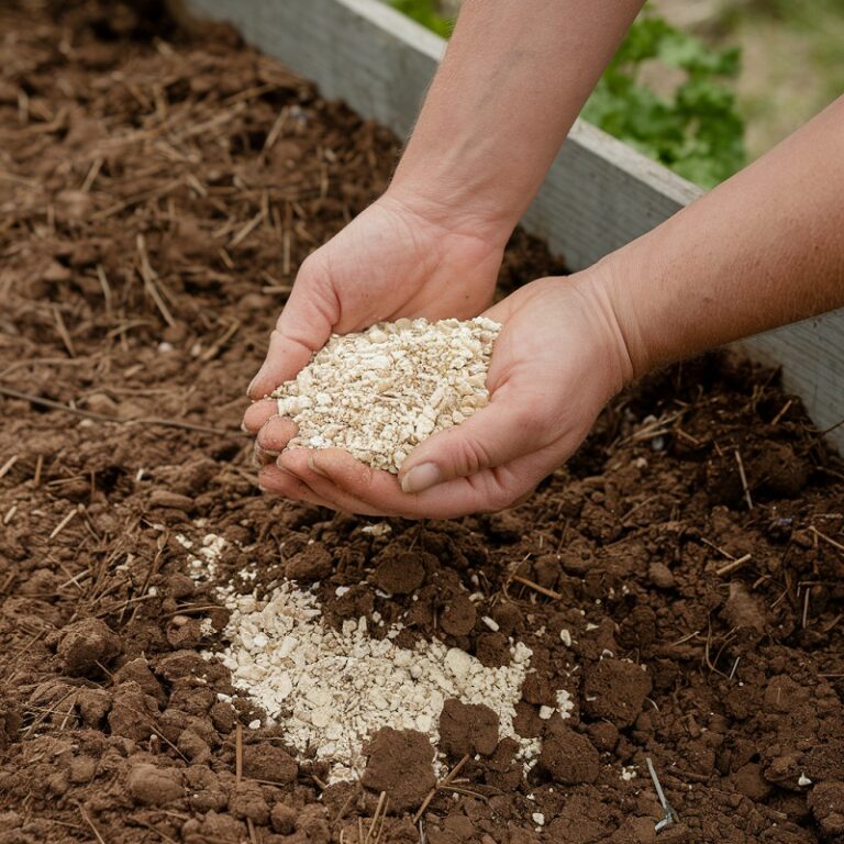 Perlite vs Vermiculite: Which One is Best for Your Garden Soil? - The ...