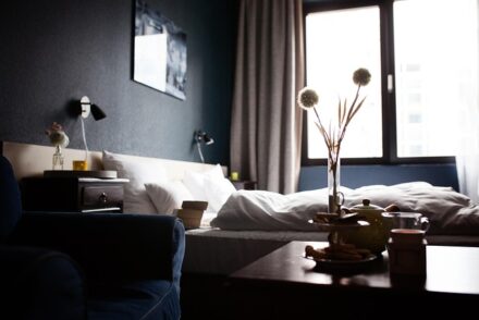 Sustainable Stays for Safe Travels: Top Eco-Lodges and Green Hotels in ...