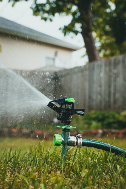 Sustainable Lawn Care 101: How to Maintain a Green Yard Without Harming ...