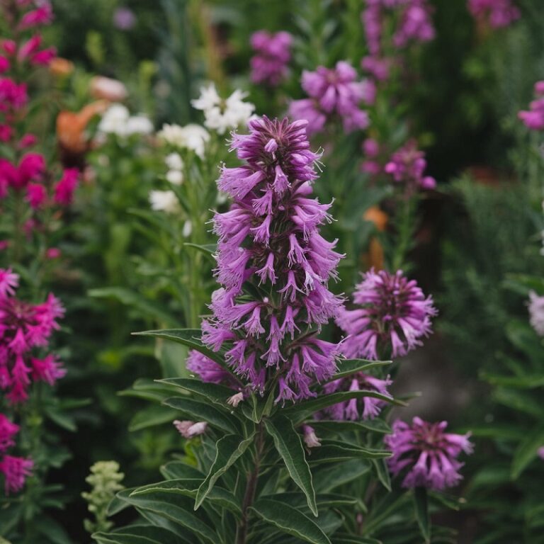 Why Your Lemon Bee Balm plant Isn’t Blooming—and How to Fix It Fast ...