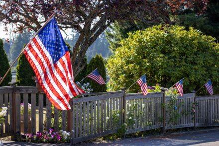 Eco-Friendly Flags: What Are Your Options - The Environmental Blog